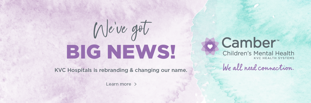 KVC Health Systems - Compassionate help for children & families